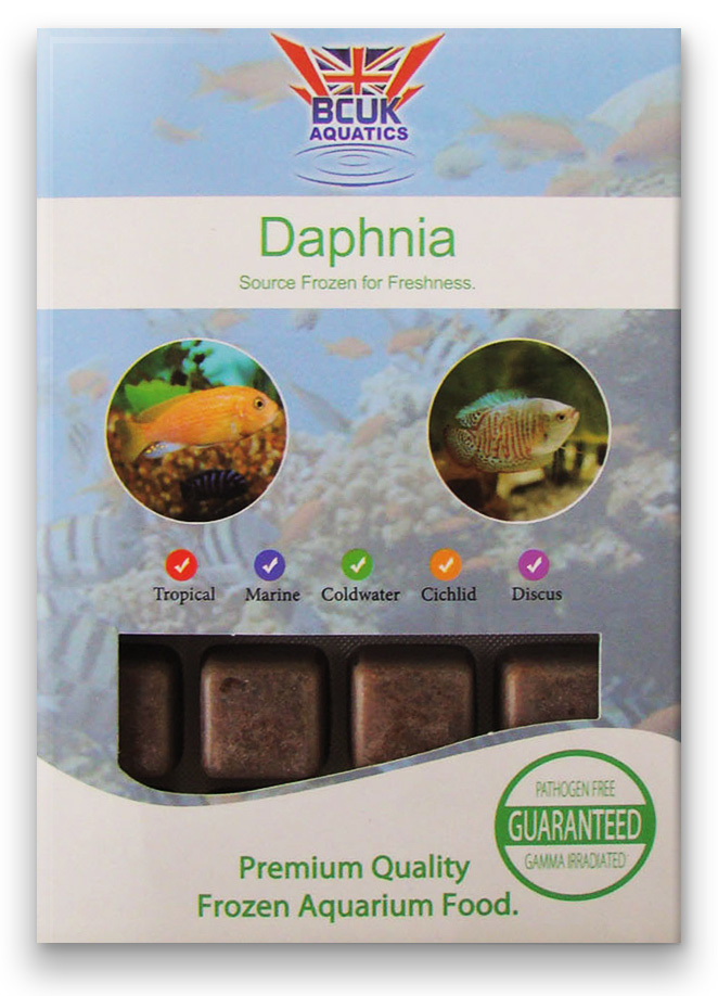 Daphnia Frozen Food 100g - Nu-Pets Pet Centre